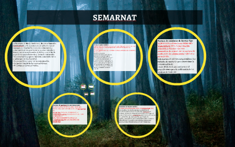 ¿Qué es la SEMARNAT? by on Prezi