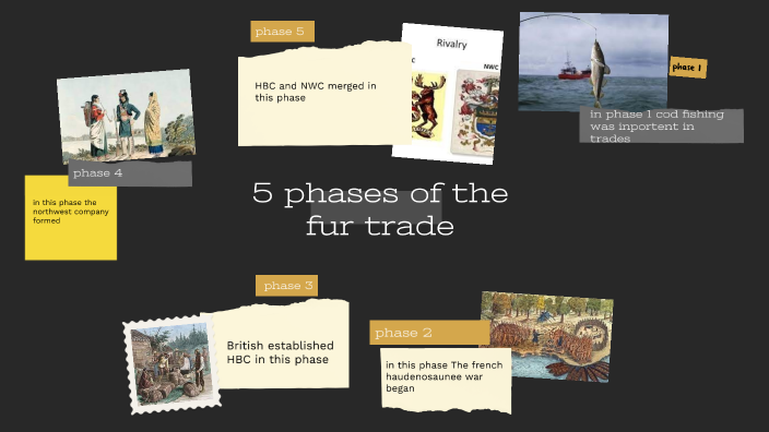 5 phases of the fur trade by Harper Eggerman on Prezi