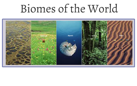 Biomes of the World by Nick Sorce on Prezi