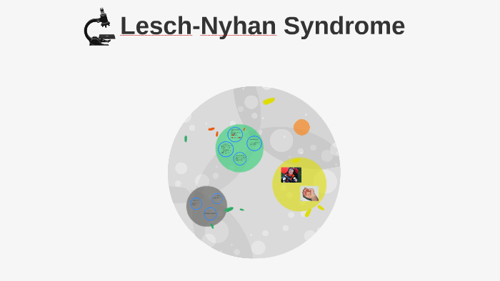 Lesch-Nyhan Syndrome by Emily Rahn on Prezi
