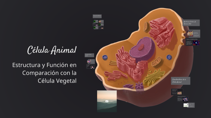 Célula Animal by mariana prieto argote on Prezi