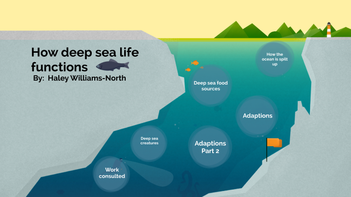 how deep sea life functions by Haley Williams-North on Prezi