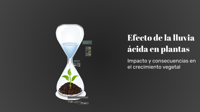 Efecto de la lluvia ácida en plantas by Danae Lascano on Prezi