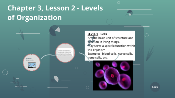 Chapter 3, Lesson 2 - Levels of Organization by on Prezi