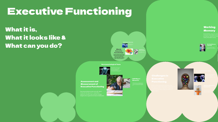 Mastering Executive Functioning by Andrea Lucas on Prezi