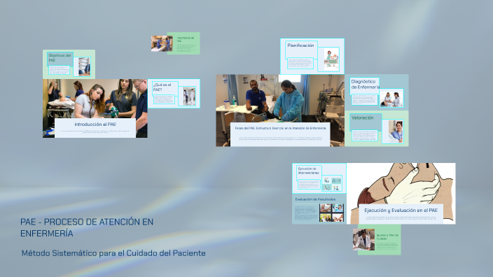 PAE - PROCESO DE ATENCIÓN EN ENFERMERÍA by Andrea Crocco on Prezi