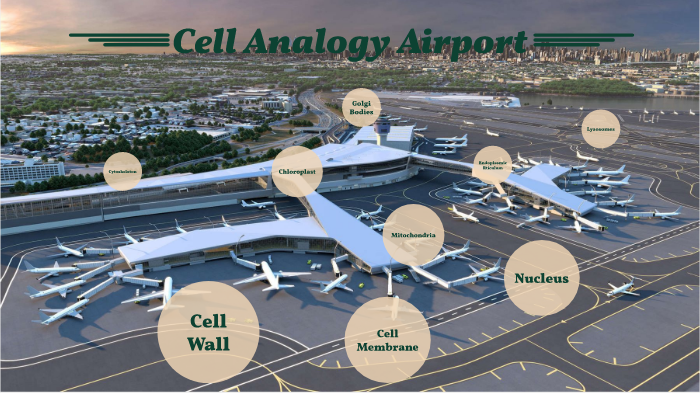 Cell Airport Analogy by mickey on Prezi