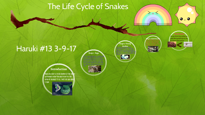 The Life Cycle of Snakes by Haruki K on Prezi