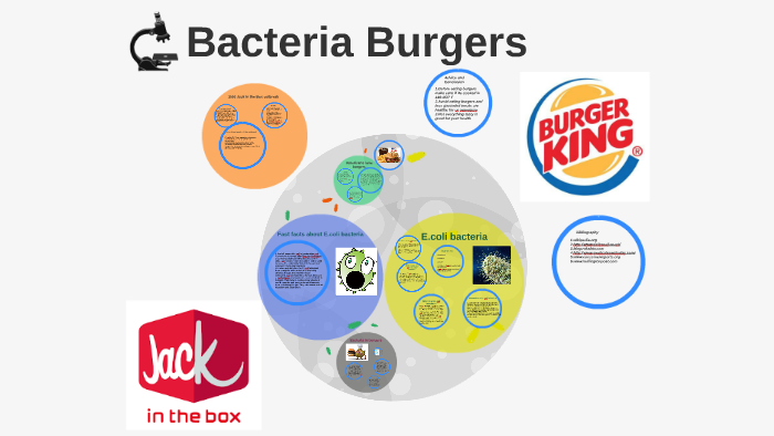 Bacteria Burgers by Telmen Telmen on Prezi