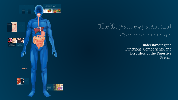 The Digestive System and Common Diseases by 시은 이 on Prezi