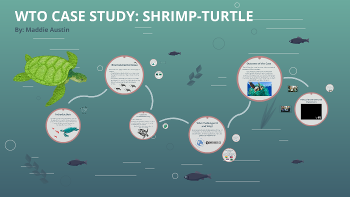 WTO CASE STUDY: SHRIMP-TURTLE by maddie austin on Prezi