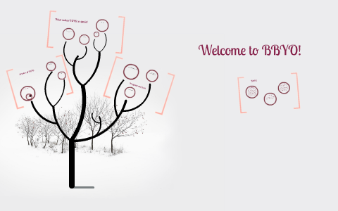 Structure of BBYO by Westchester Region Aym Ha'Chaverot on Prezi