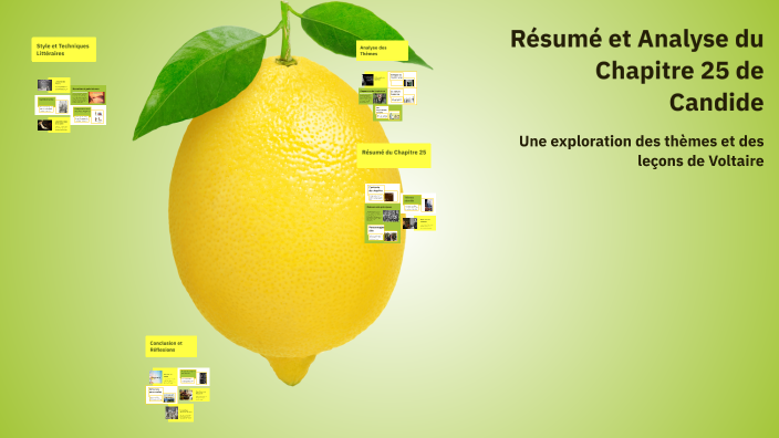 Résumé Et Analyse Du Chapitre 25 De Candide By Isaac Lavanchy On Prezi