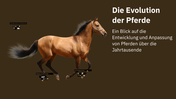 Die Evolution der Pferde by Merle El-Sayed on Prezi