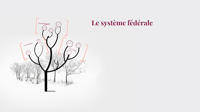 Le système fédéral by Kat D on Prezi