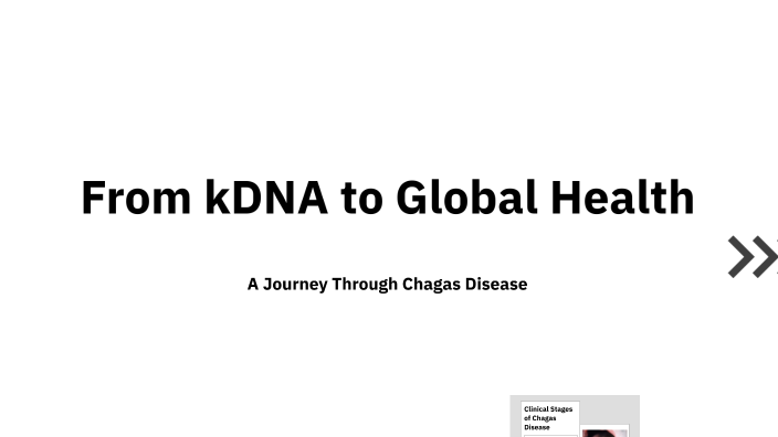 From kDNA to Global Health by Nina Ramesh on Prezi