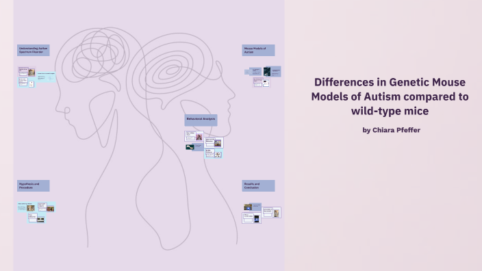 Differences in Genetic Mouse Models of Autism by Chiara Pfeffer on Prezi