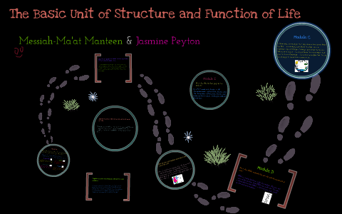 The Basic Unit of Structure and Function of Life by Messiah M on Prezi