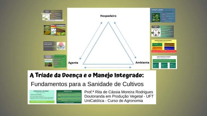 A Tríade da Doença e o Manejo Integrado: Fundamentos para a Sanidade de ...
