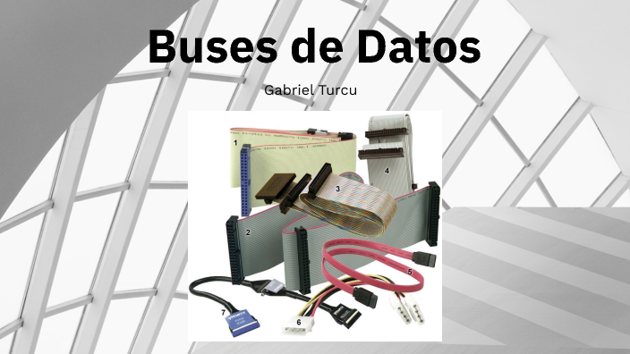 Buses de Datos by gabriel turcu on Prezi