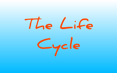 Life Cycle, Deviance, Biological Theories, Anomie Theory by Yasnina ...