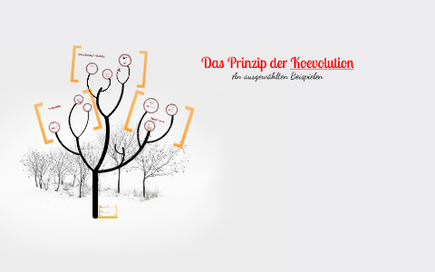 Das Prinzip der Koevolution by Dominik S. on Prezi