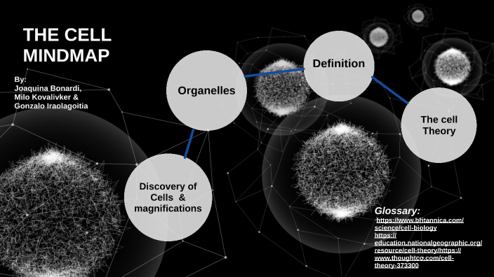 Cell Mindmap by Joaquina BONARDI on Prezi