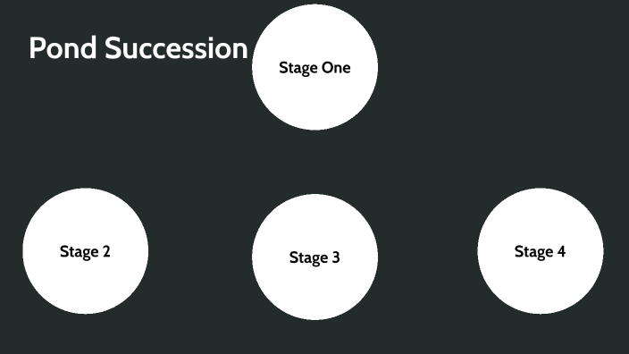 Pond Succession by Mauri Bailey on Prezi