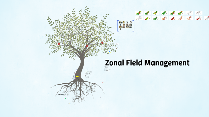 Zonal Field Management by silent love