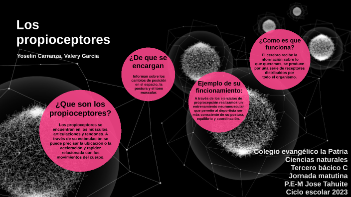 los propioceptores by Valery Garcia on Prezi