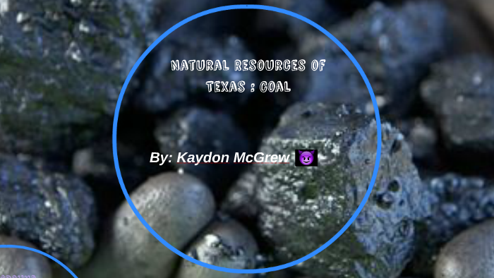 Natural Resources of Texas : Sheep by lanay mcgrew on Prezi