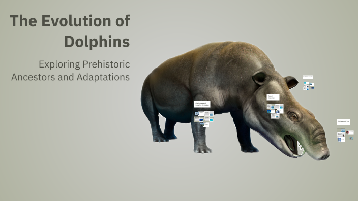 The Evolution of Dolphins by Sarah Malin on Prezi