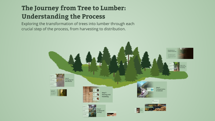 The Journey from Tree to Lumber: Understanding the Process by Henry ...