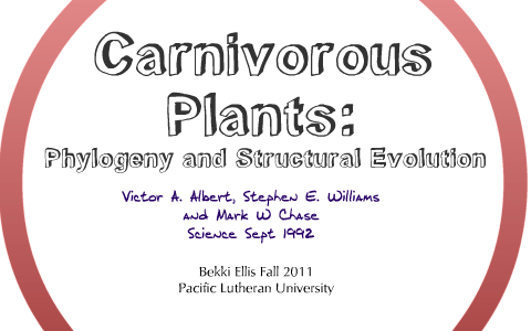 Evolution of Carnivorous Plants by bekki ellis on Prezi