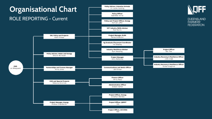 20230831 Org Chart by Rebecca Donohoe on Prezi