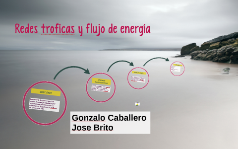 Redes troficas y flujo de energía by Gonzalo Caballero on Prezi