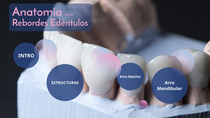 Presentación Sofy by Mathias Nuñez on Prezi