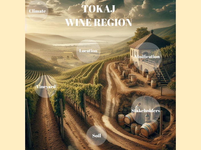 TOKAJ by Perrine Sage on Prezi