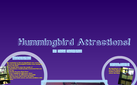 My Hummingbird Project by Hope Hardison on Prezi