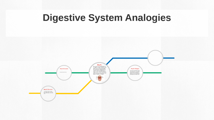 Digestive System Analogy by ella friederick on Prezi