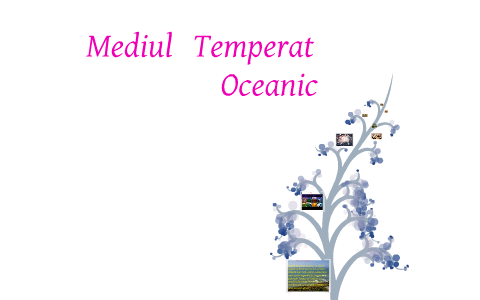Mediul Temperat-Oceanic by Mirabela Gabriela on Prezi