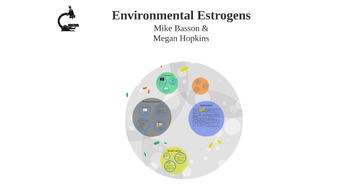 Environmental Estrogens by megan Hopkins on Prezi