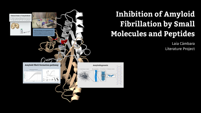 Inhibition of Amyloid Fibrillation by Small Molecules and Peptides by ...