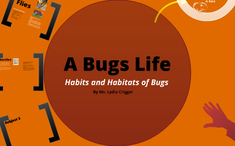 A Bugs Life! Habits and Habitats of Bugs by Lydia Crigger on Prezi