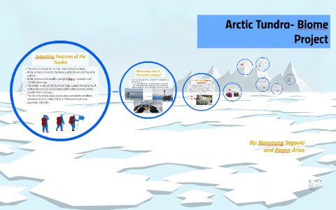 Arctic Tundra- Biome Project by Rayen Arias
