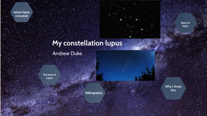lupus Andrew P3 by Andrew Duke on Prezi