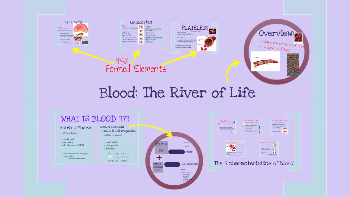 Blood: The River of Life by Birte Sumerix on Prezi
