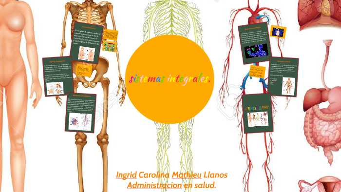 sistemas integrales. by Ingrid Mathieu on Prezi