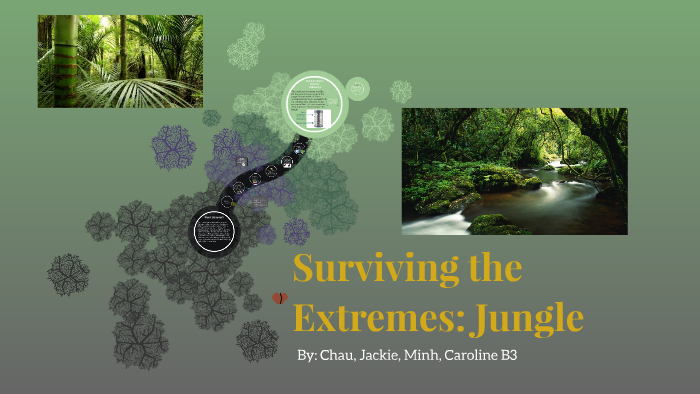 Surviving the Extremes: Jungle by Caroline Ng on Prezi