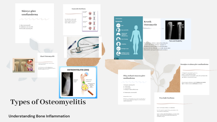 Types of Osteomyelitis by Öykü Sağıroğlu on Prezi
